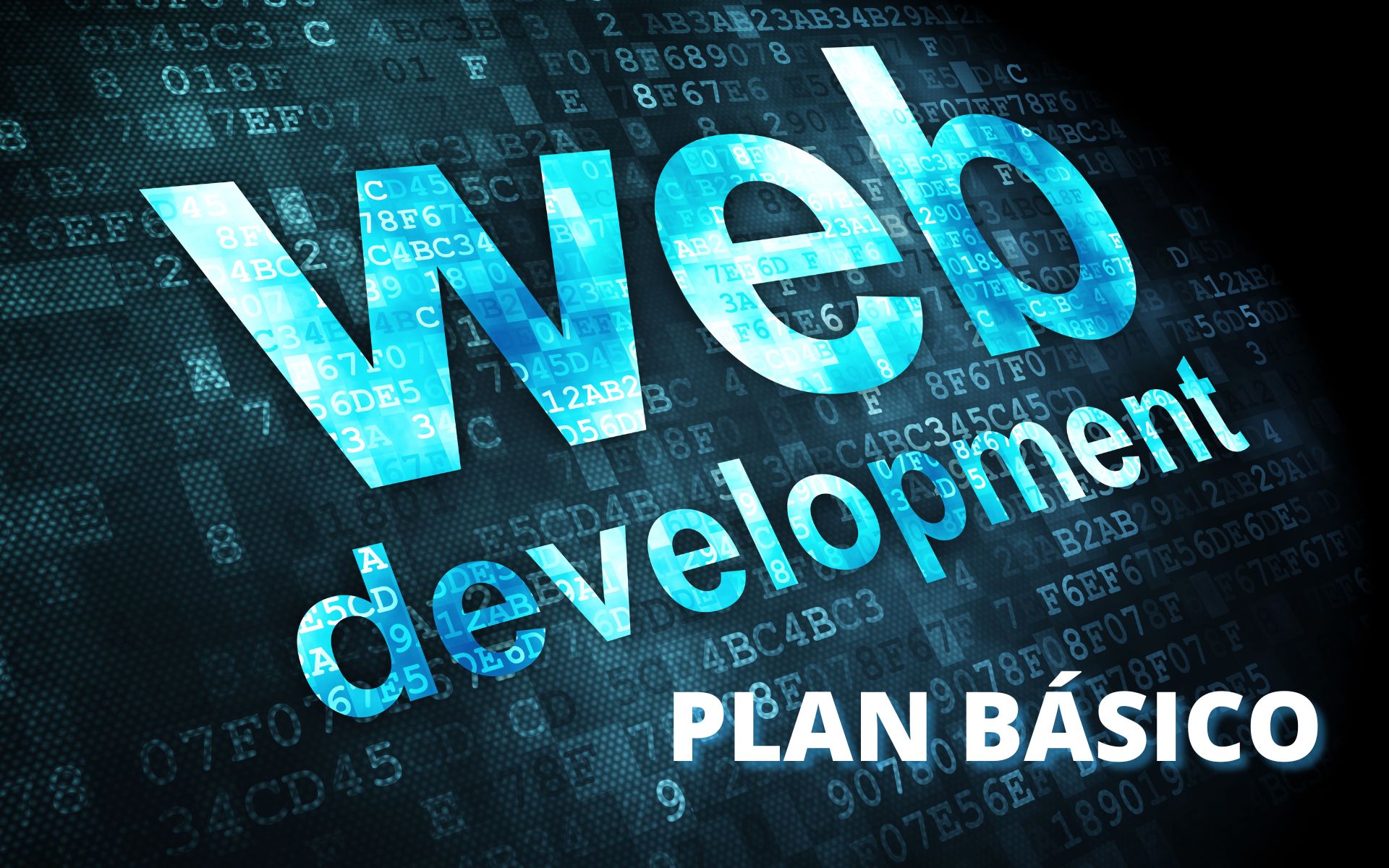 Desarrollo Web - Plan Básico | Connecting Startup